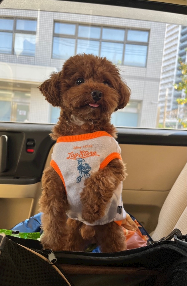 渋滞がエグくて萎えた祝日、、、🫠 - 真優👀mrsj上野 - 熟女キャバクラ・Mrs.J 上野 ミセスジェイ [ポケパラ]