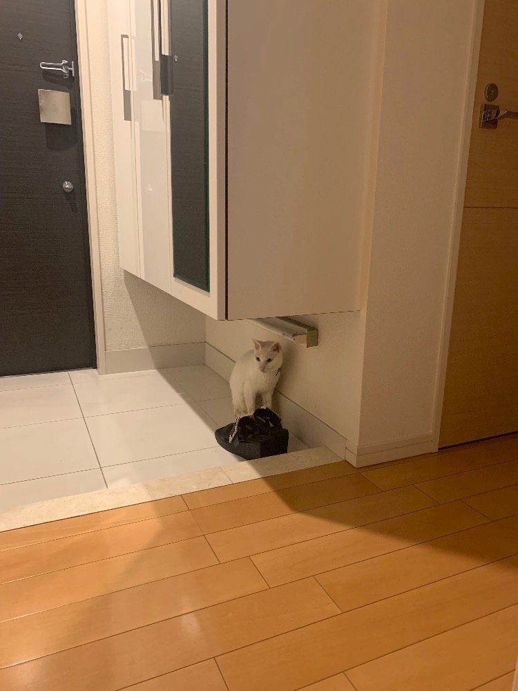 皆んなにはわかるだろうか？ - 渡辺愛梨 - Liebe Ort・リーベオルト - 中洲のスナック [ポケパラ]