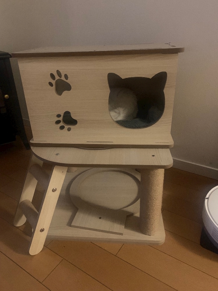 親の心子知らず - 渡辺愛梨 - Liebe Ort・リーベオルト - 中洲のスナック [ポケパラ]