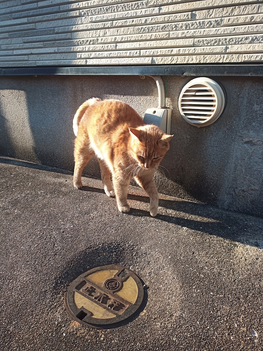 かわい子ちゃん見つけた(☆ω☆) - ゆうか - Liebe Ort・リーベオルト - 中洲のスナック【ポケパラ】