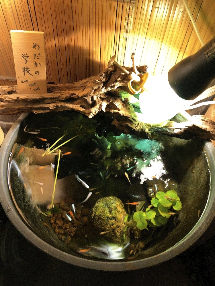 【引き出しの宝庫】と【悩みがないのではなく、悩む事が出来ない仕組み】のお話し。 - 🦋‪こころ🦋‪ - 梅田 熟女キャバクラ・玉響（たまゆら ...