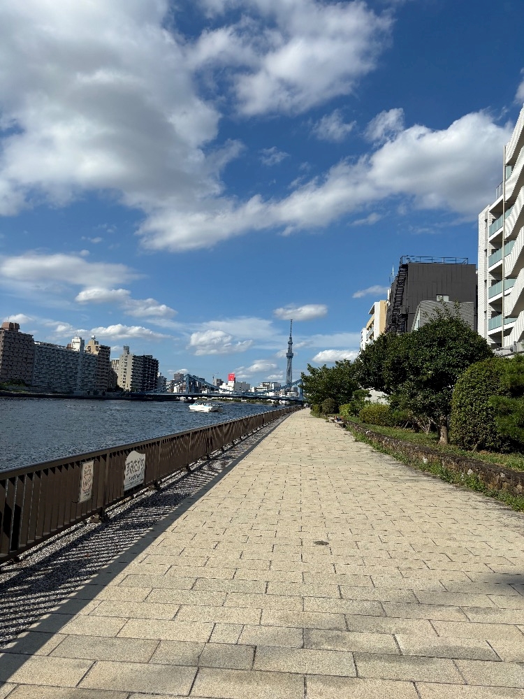 土曜日🩵出勤 - 🫧🐬ゆあ🐬🫧 - MELLOW×MELLOW・メロウメロウ - 志木の熟女パブ/熟女キャバクラ【ポケパラ】