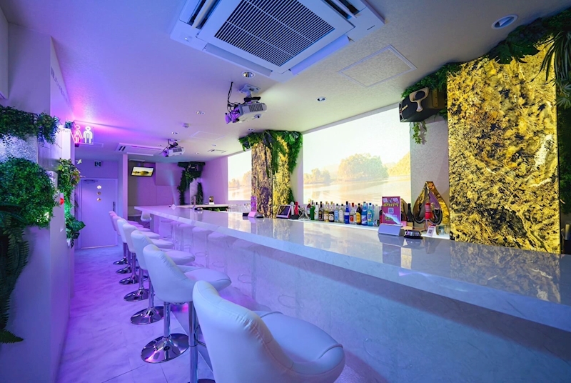 GIRLS BAR SHIRO・シロ - 湯島・上野/ガールズバー【ポケパラ】