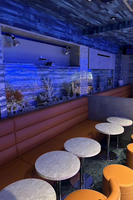 Concept Cafe & Bar WILD BLUE・ワイルドブルーの求人 - 清瀬/コンカフェ 【ポケパラ体入】